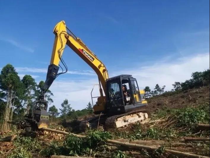 最先进的伐木机械,大型伐木机械,伐木机械_大山谷图库